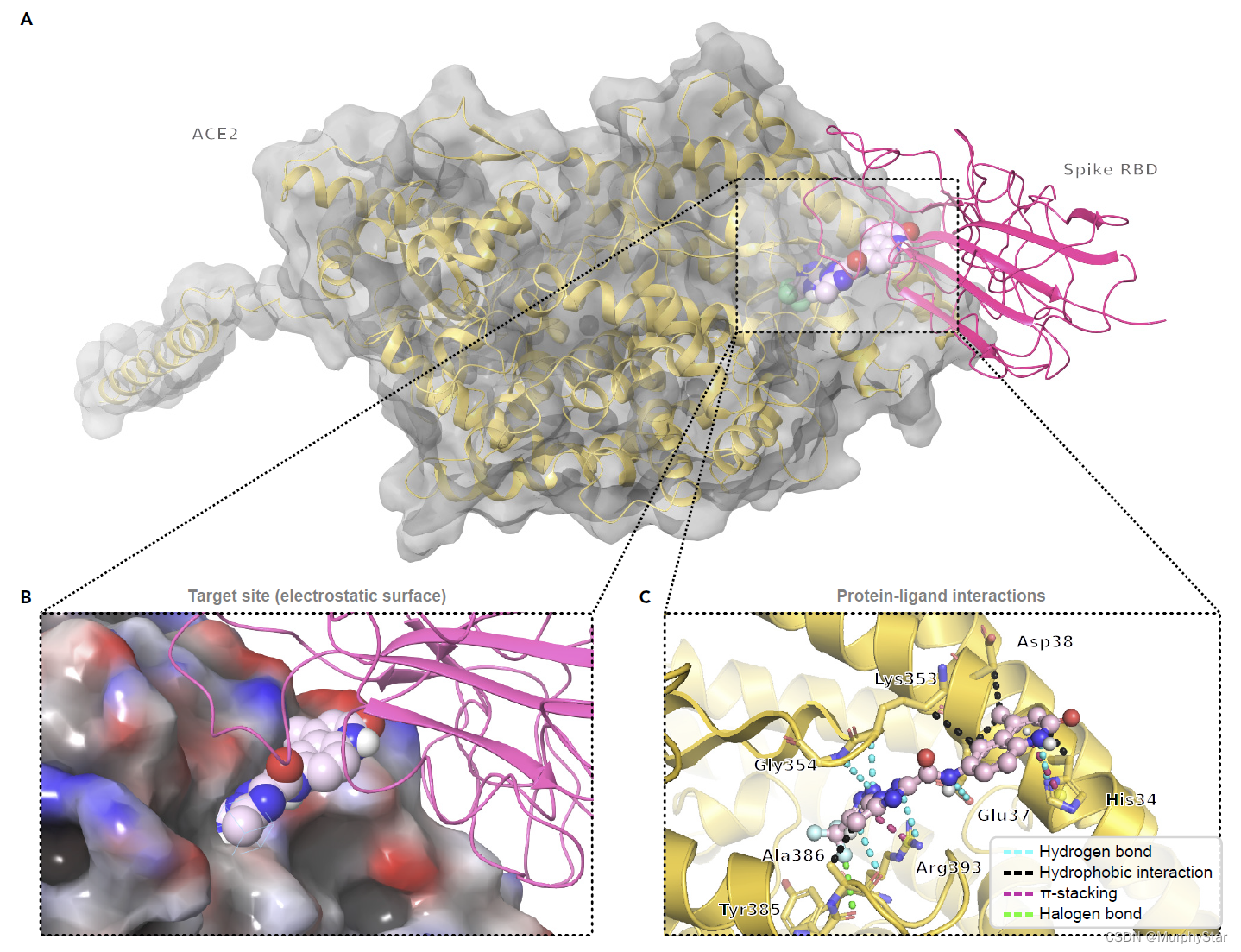 PyMOL作图：同时显示“Cartoon“ + “Surface“_pymol surface-CSDN博客