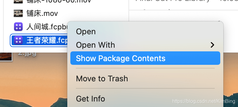 如何缩减优化 FinalCut fcpbundle 文件大小_fcpbundle是什么文件-CSDN博客