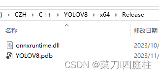 填坑记录: visual studio 无法解析的外部符号 OrtGetApiBase-CSDN博客