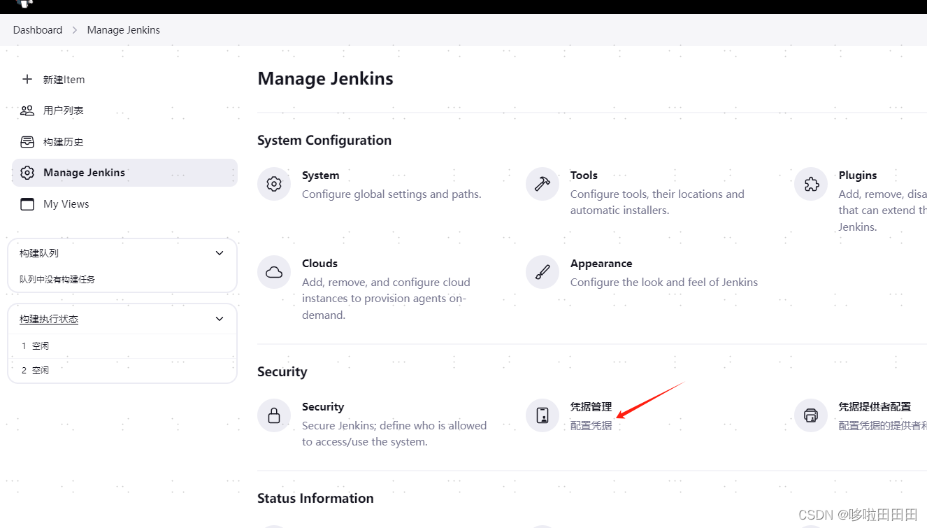 容器化部署 Jenkins，并配置SSH远程操作服务器_jenkins ssh-CSDN博客