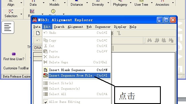 linux下phylip软件构建NJ树,MEGA软件——系统发育树构建方法（图文讲解）-CSDN博客