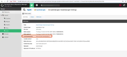 超详细NPM代理仓库Nexus 搭建、配置及验证过程_nexus npm仓库-CSDN博客