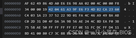UEFI BIOS之文件类型-CSDN博客