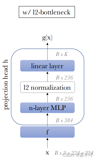 DINO / DINOv2 论文+代码深度解析_dino dinov2-CSDN博客