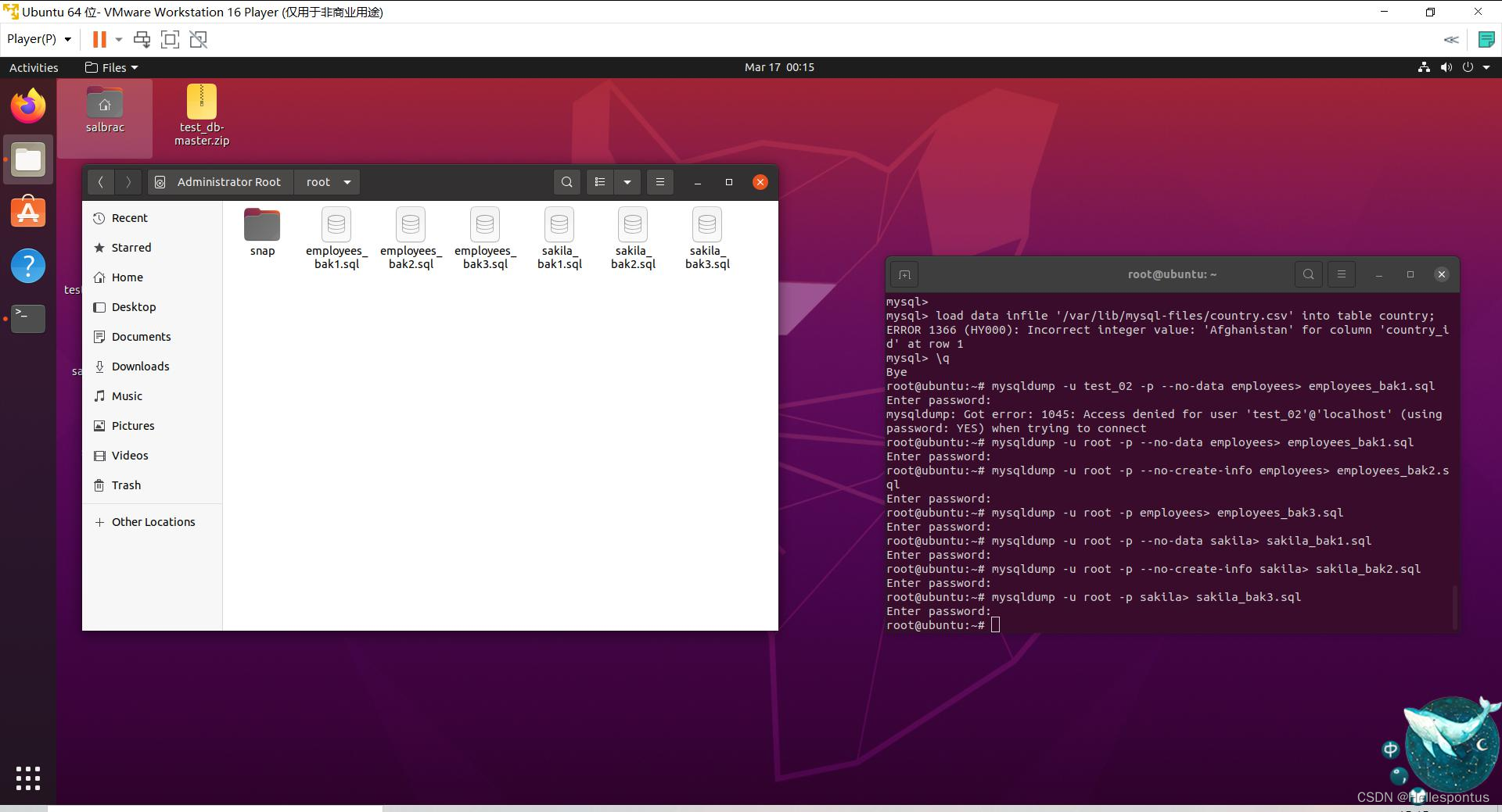数据库——LAMP的搭建及MySQL基操_lamp mysql-CSDN博客