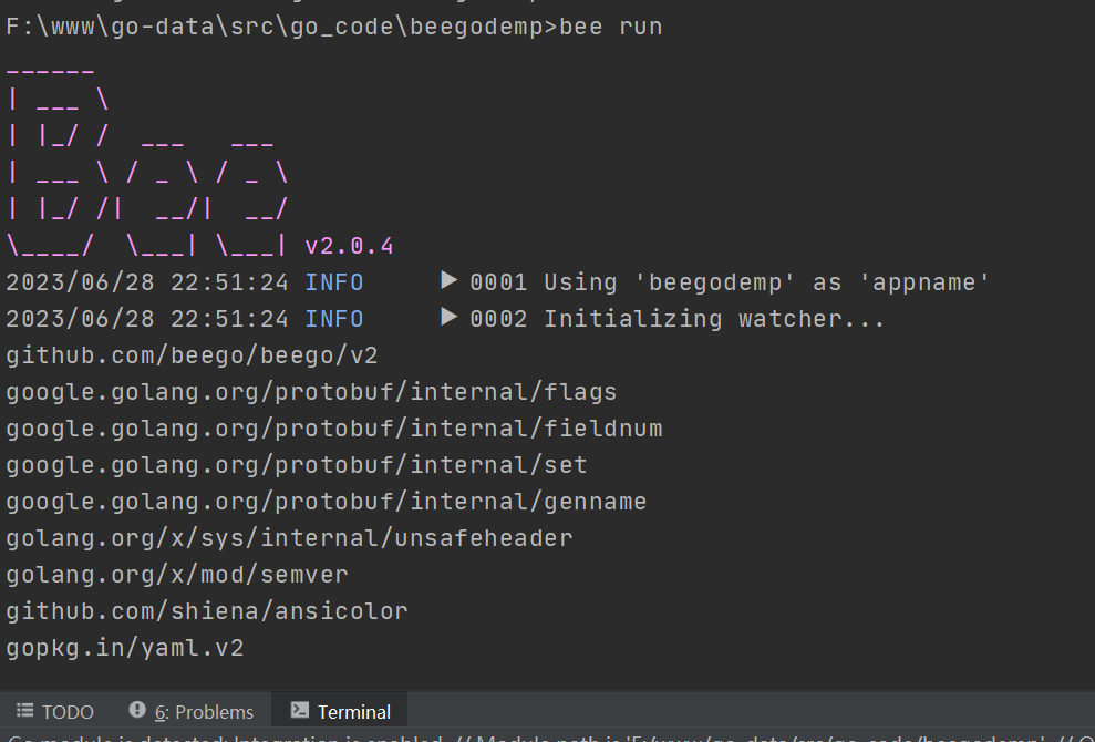 Beego之Bee安装以及创建,运行项目_beego bee-CSDN博客