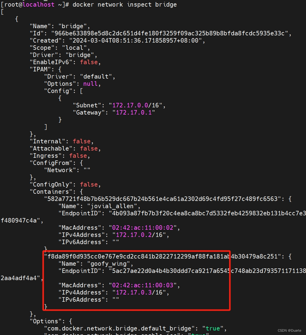 Docker网络配置_docker run --net-CSDN博客