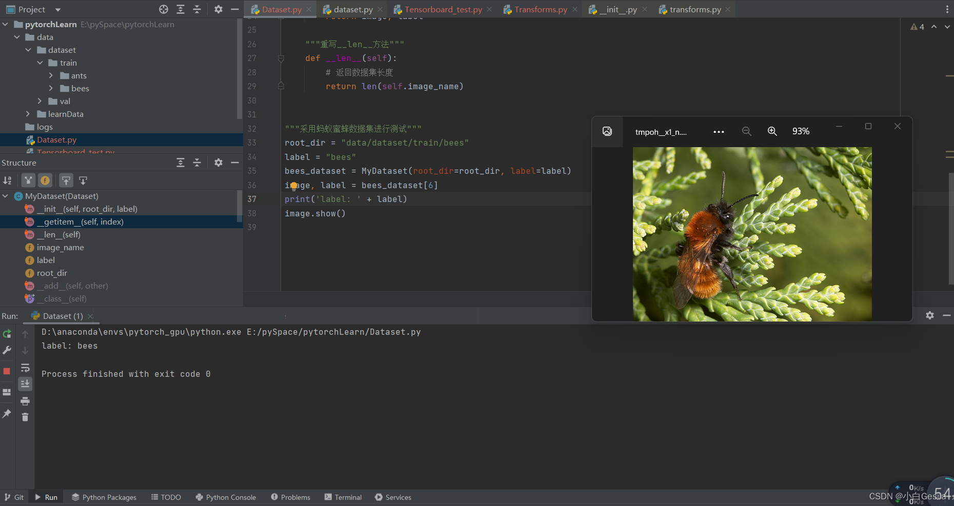 Pytorch学习记录【1】Dataset的使用_pytorch的dataset怎么引入-CSDN博客
