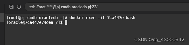 服务器安装docker安装oracle导入数据_docker oracle 导入dmp-CSDN博客