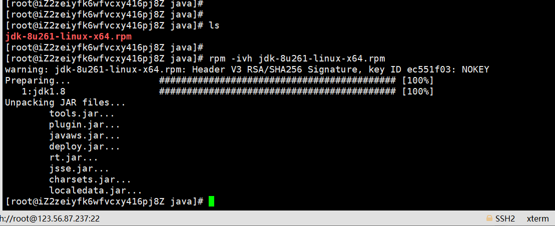 Linux使用rpm安装jdk8_jdk8 rpm-CSDN博客