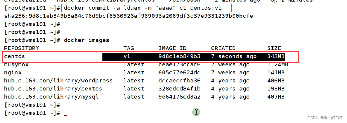 Docker镜像构建与优化：使用Dockerfile与SSH镜像制作-CSDN博客
