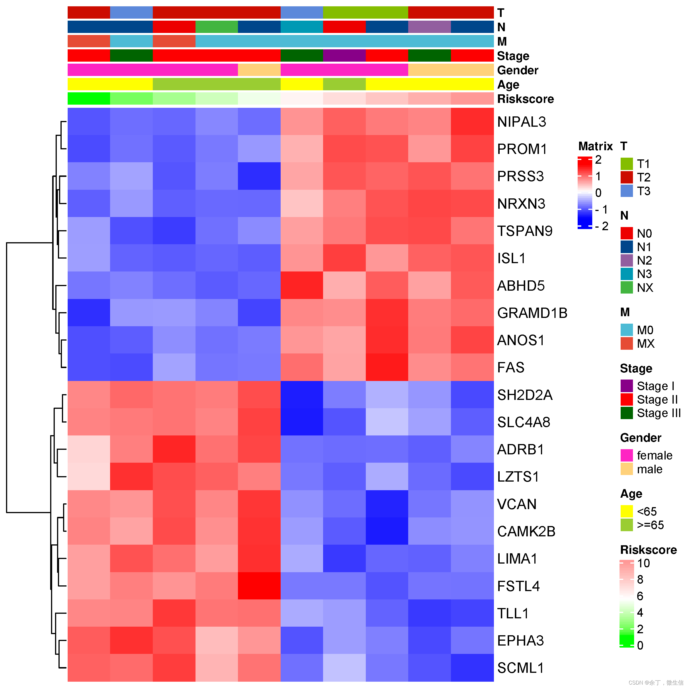 带临床数据的热图 -- 给样品添加TNM分期、年龄、性别、riskscore等信息_riskscore可视化-CSDN博客
