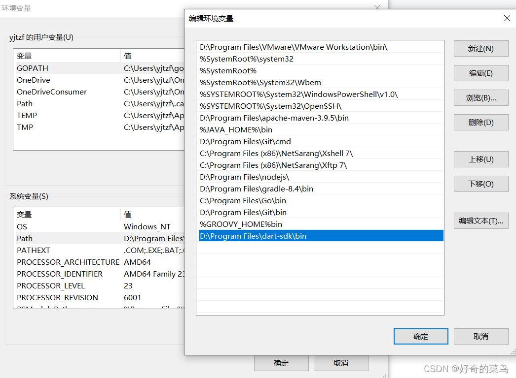 Dart开发环境搭建-Windows_dart sdk下载-CSDN博客