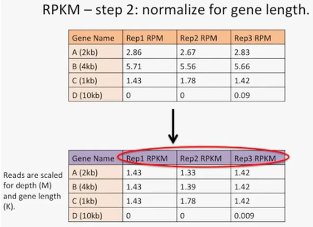 RPKM、FPKM 和 TPM cpm-CSDN博客