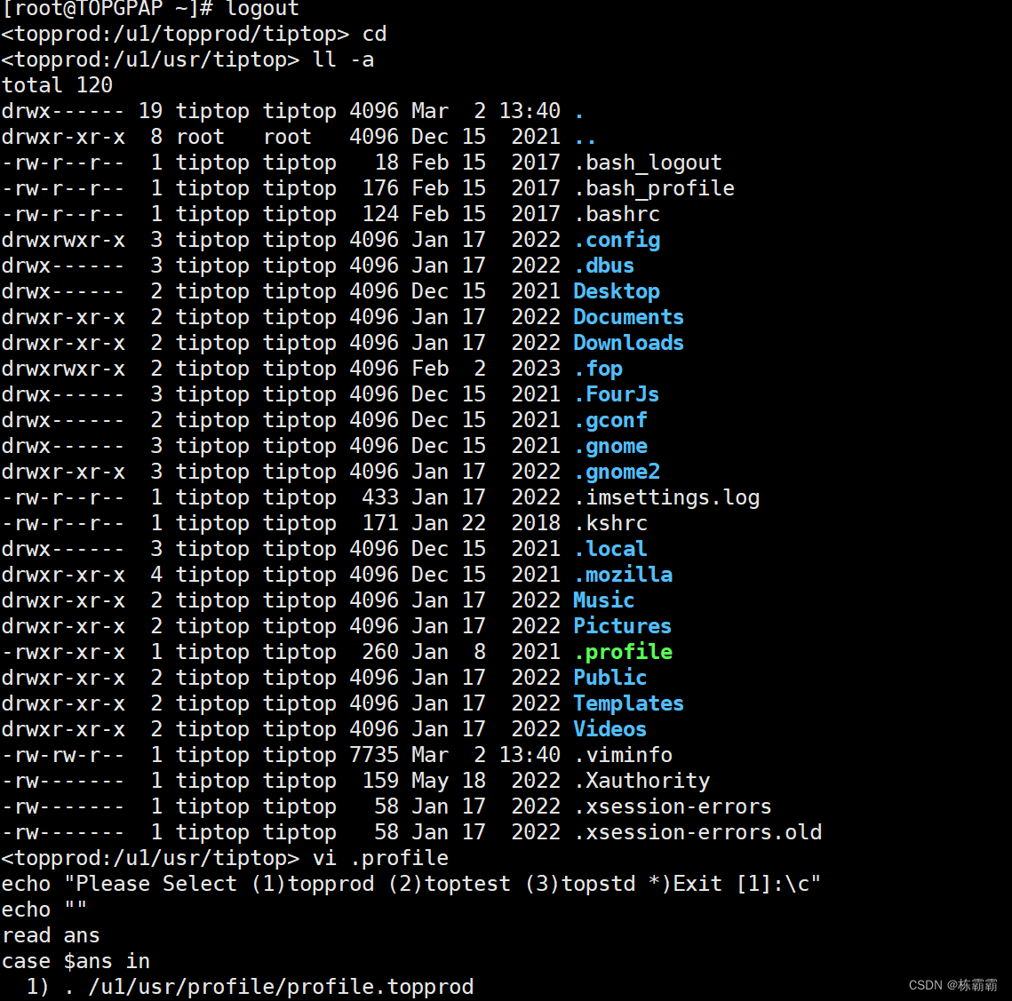 鼎捷T100、GP要点归纳（持续更新）-CSDN博客