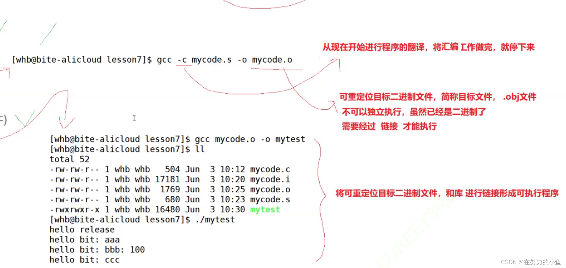 Linux gcc的使用_gcc -o命令-CSDN博客