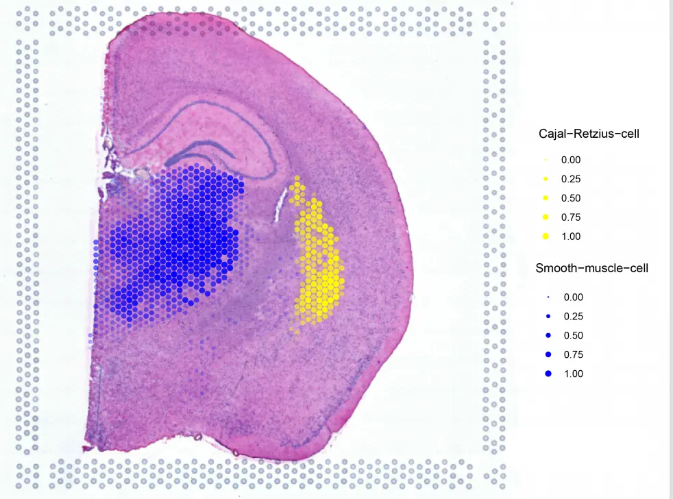 10X空间转录组绘图分析之体现两种细胞类型的空间位置_空间转录组coord-CSDN博客