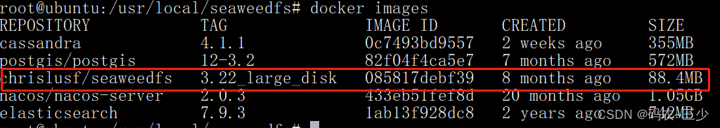 docker 离线部署seaweedfs 集群_seaweedfs docker-CSDN博客