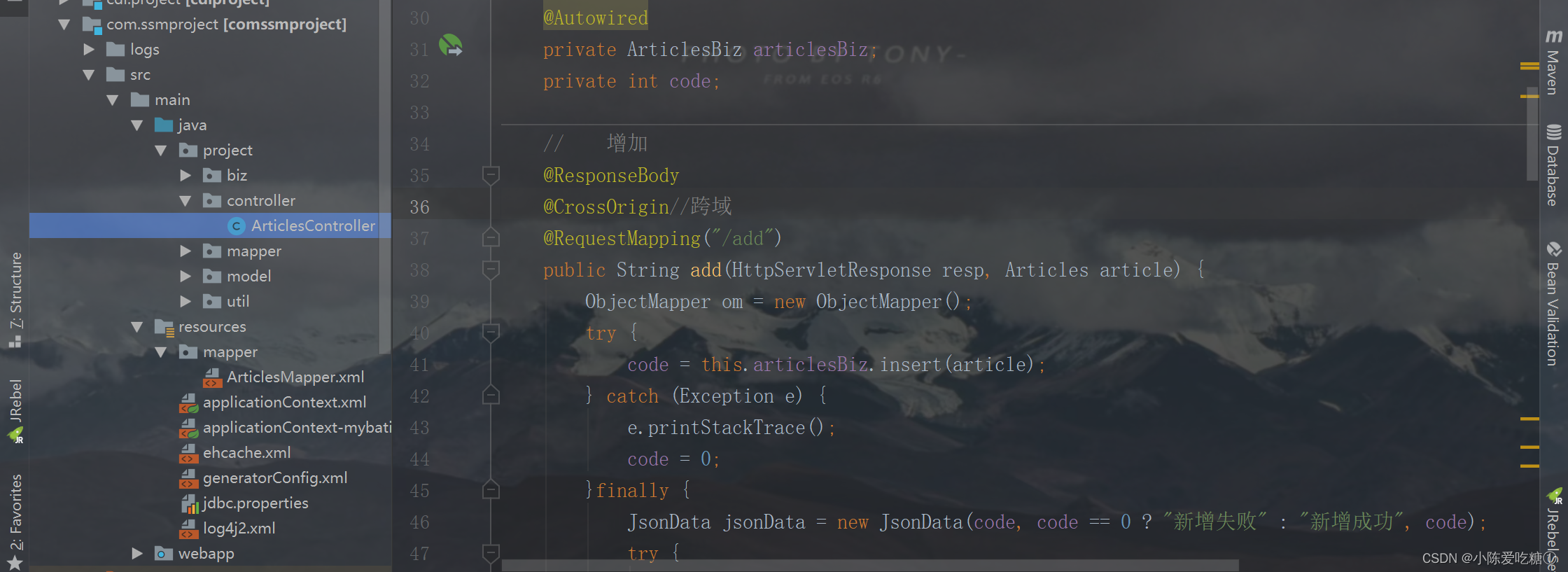 idea使用ssm写后台和运用vue-elementUI搭建前端_idea开发ssm+vue项目实战-CSDN博客