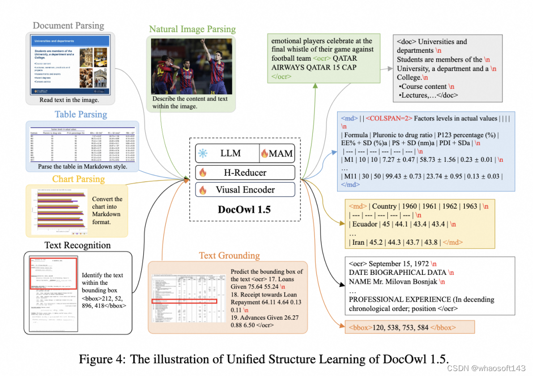 mPLUG-DocOwl 1.5-CSDN博客