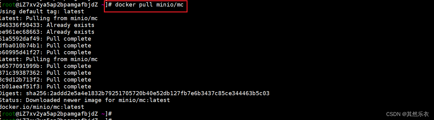 Minio设置文件永久访问和下载_docker 部署minio 永久访问图片-CSDN博客