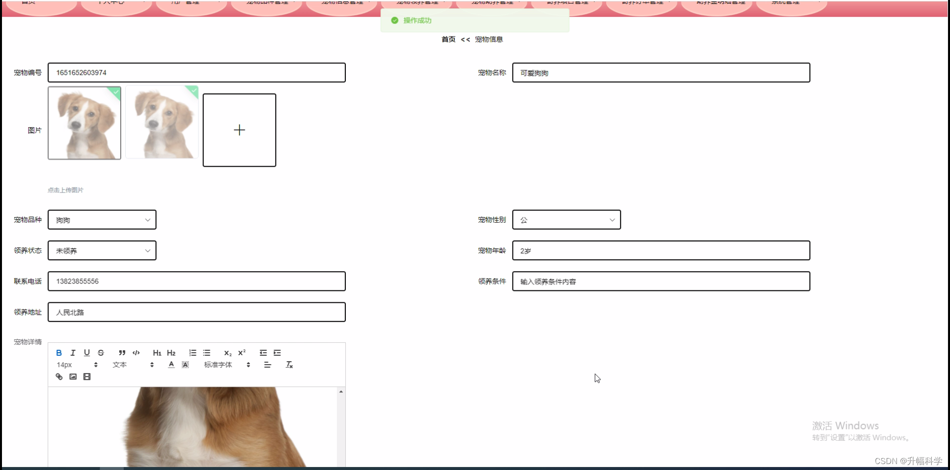 [附源码]java+ssm计算机毕业设计java基于框架的流浪动物保护平台68249【源码、数据库、LW、部署】-CSDN博客