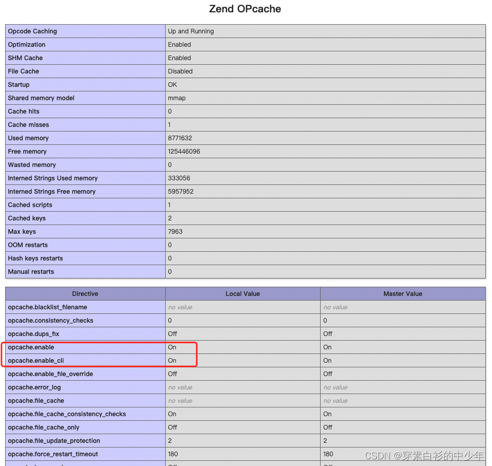 PHP - APC/OPcache - 学习/实践_php apc-CSDN博客