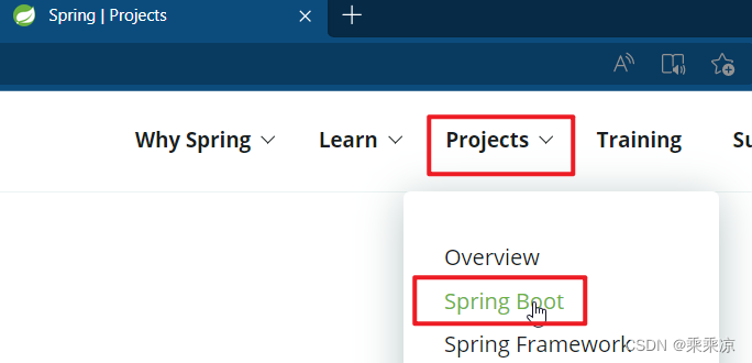 01. springboot 案例_java: 类重复: com.itheima.springbootwebquickstartappl-CSDN博客