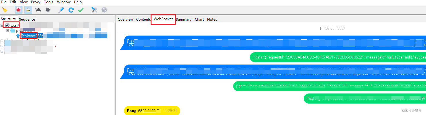 测试工作之定位问题：用Charles抓socket的包_charles socket抓包-CSDN博客