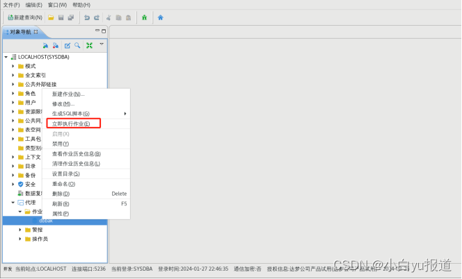 DEM数据库管理系统部署教程：从环境配置到Tomcat集成-CSDN博客