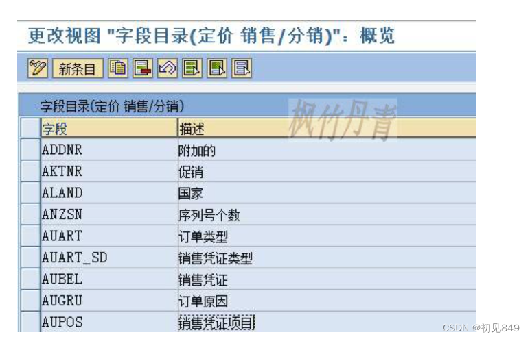 定义定价类型的条件表 枫竹丹青 Csdn博客