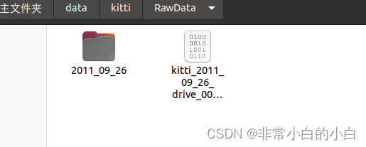 【小白】ROS跑kitti可视化（一）&kitti数据集转换成bag文件_kitti数据集可视化-CSDN博客