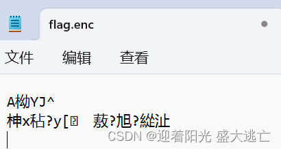 #RSA基础入门 (buu选题）_buu rsa-CSDN博客
