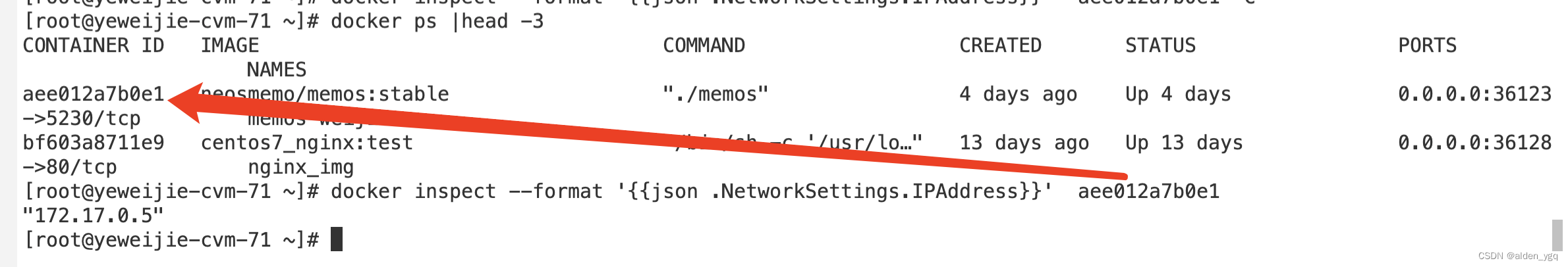 Docker网络介绍_docker 网络-CSDN博客