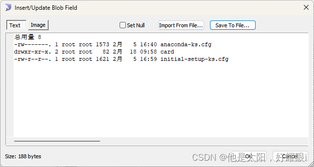 SpringBoot + WebSocket 连接SSH终端，并记录日志_websocket ssh-CSDN博客