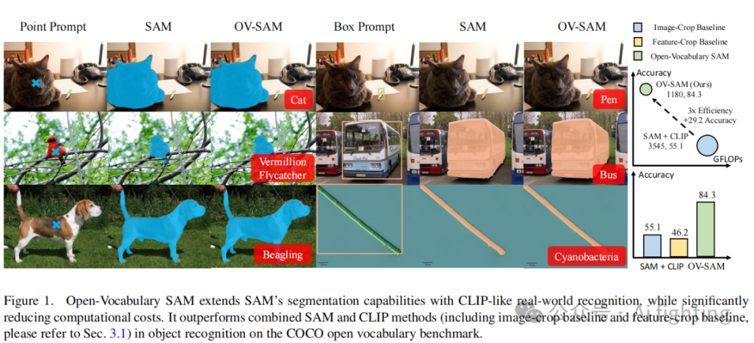 SAM与OpenAI发布的CLIP强强联手（SAM2CLIP 和 CLIP2SAM），实现22000类的分割与识别-CSDN博客