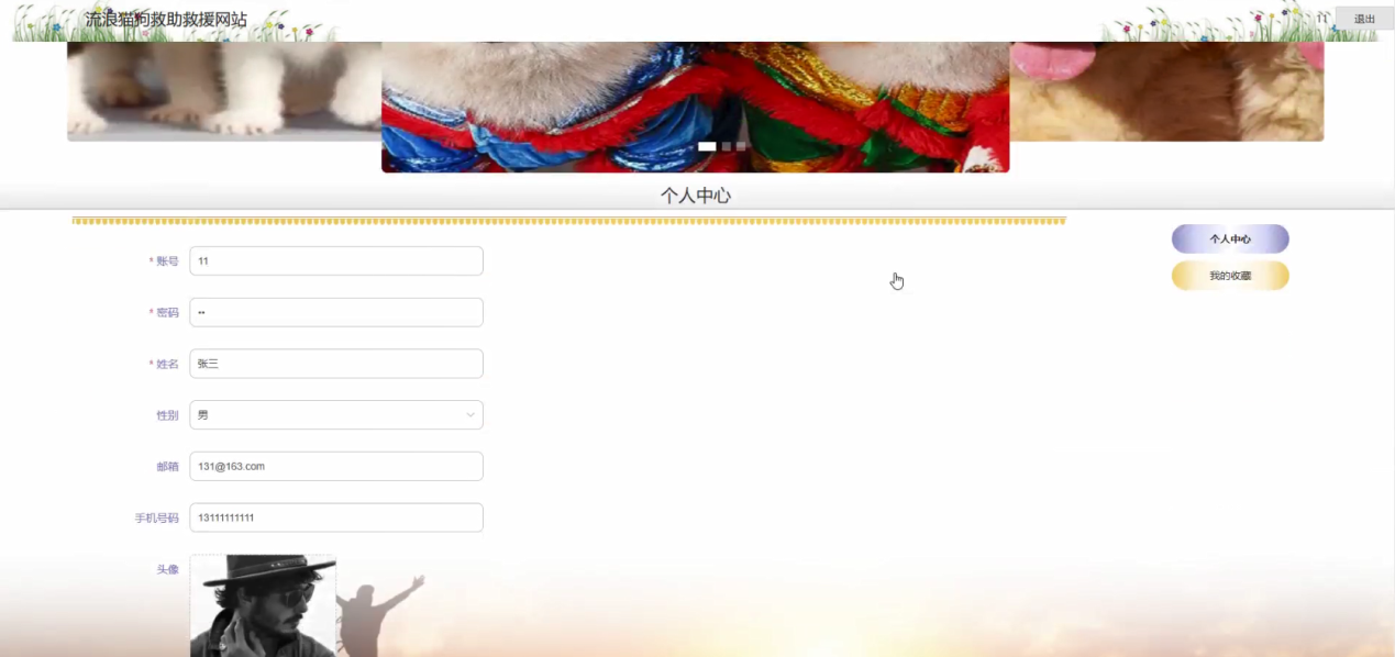 基于javaspringbootvue流浪猫狗救助救援系统设计和实现流浪猫狗救助系统 Csdn博客