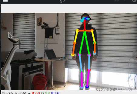 OpenCV OAK相机经典使用案例集锦（持续更新中）_oakforunity-CSDN博客
