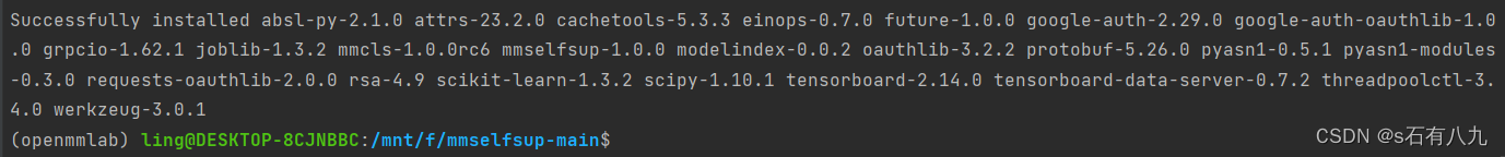 【新手教程】mmselfsup训练教程及常见报错处理-CSDN博客