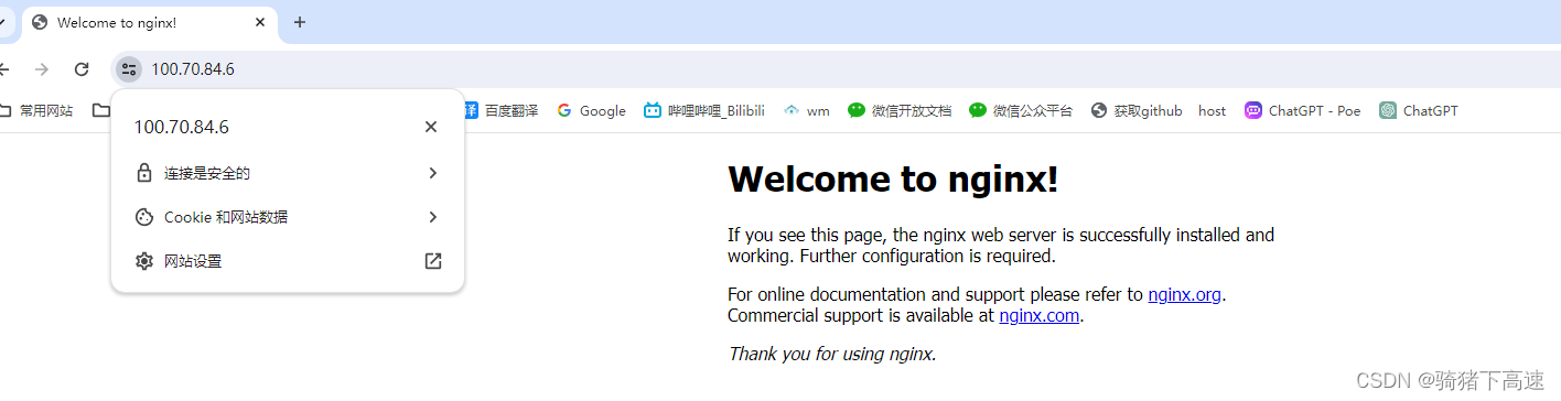 NGINX使用OpenSSL自签证书实现HTTPS安全访问-完整版_nginx自签名证书-CSDN博客