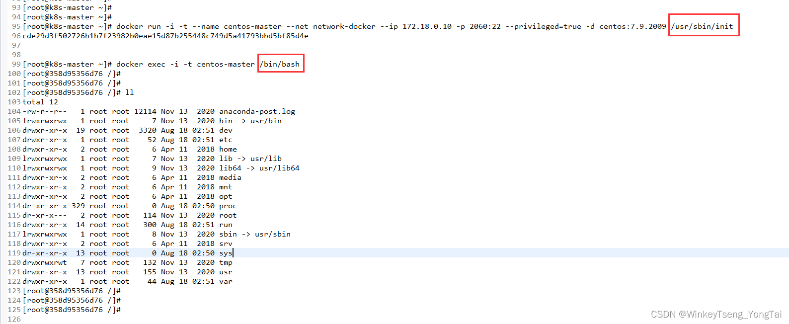 docker Error: DBUS_ERROR: Failed to connect to socket /run/dbus/system_bus_socket: No such file ...