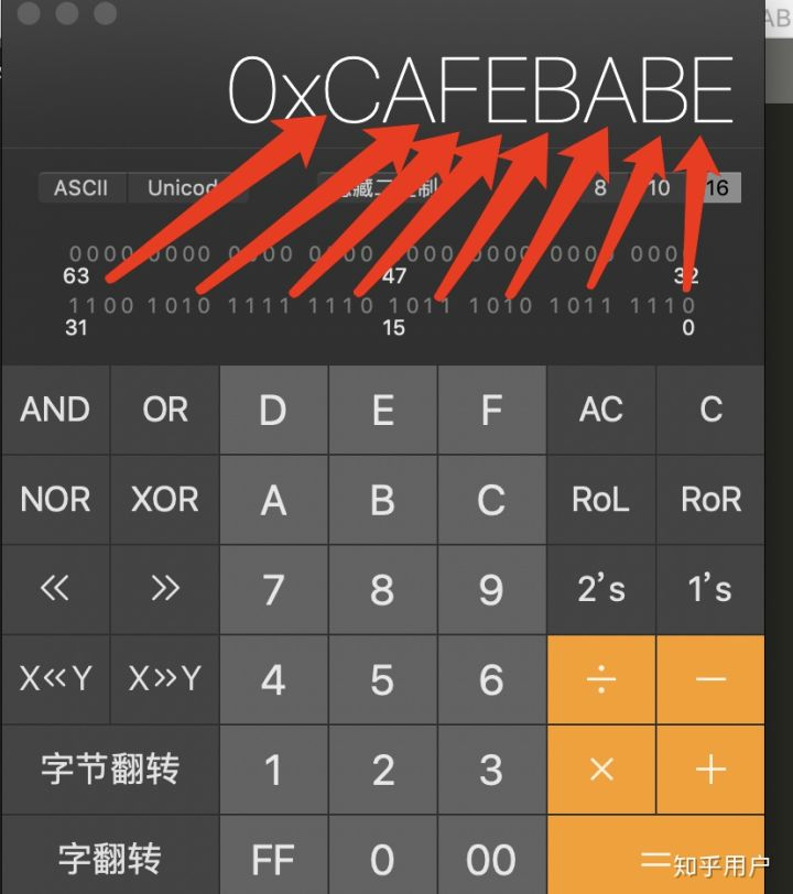java字节码的魔数是0xCAFEBABE，为什么是4字节，而不是8字节-CSDN博客
