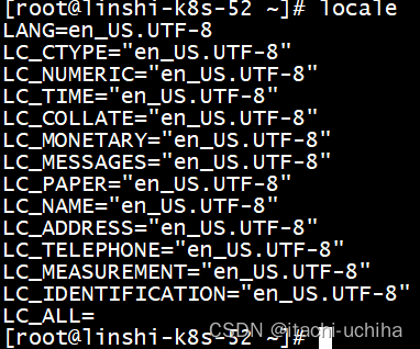 Linux语言环境变量LANG设置后不生效_linux lang-CSDN博客