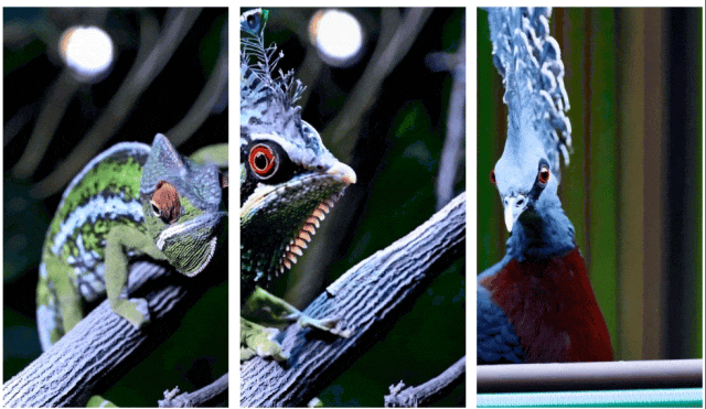 人工智能技术应用笔记（二）：OpenAI SORA文生视频模型技术报告全文中英对照 （GPT4翻译+人工润色）_spacetime latent patch-CSDN博客