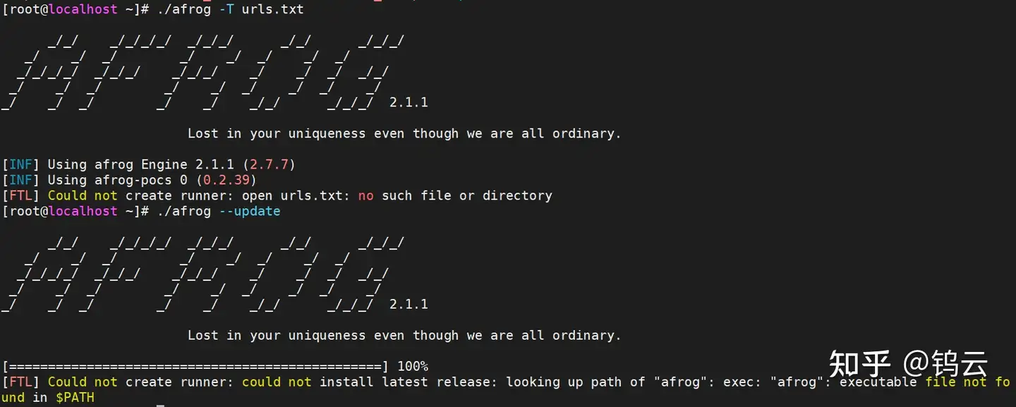 基于KeyarchOS(KOS)部署的漏洞扫描工具afrog的安装与使用_afrog linux-CSDN博客
