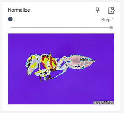 Transforms的使用_if size is a sequence, it should have 1 or 2 value-CSDN博客