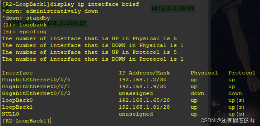 HCIP配置实验（路由配置）_hicp 路由-CSDN博客