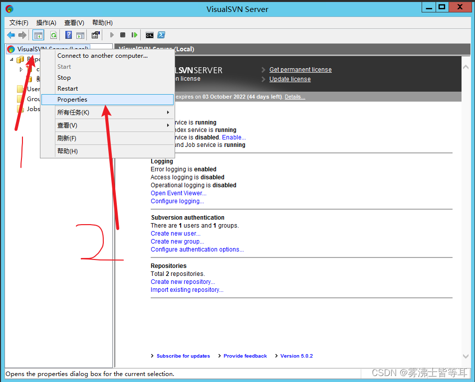 如何通过ip连接自己服务器上的svn版本库_svn怎么用ip地址访问-CSDN博客
